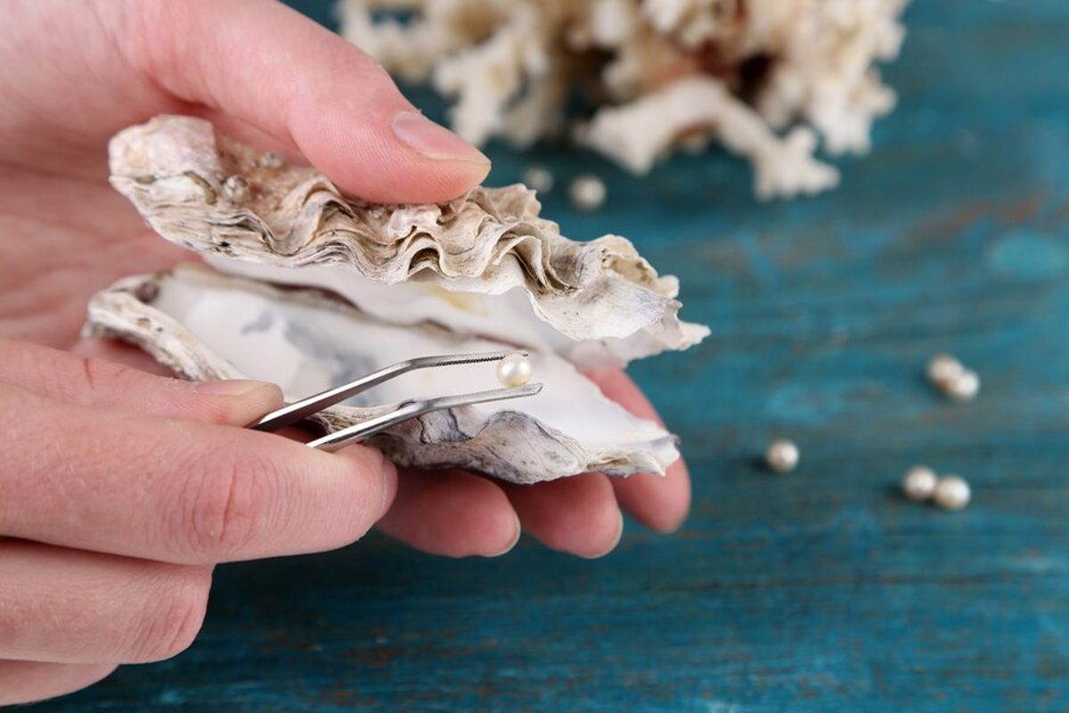 Perle d'huître : voici comment les huîtres fabriquent des perles